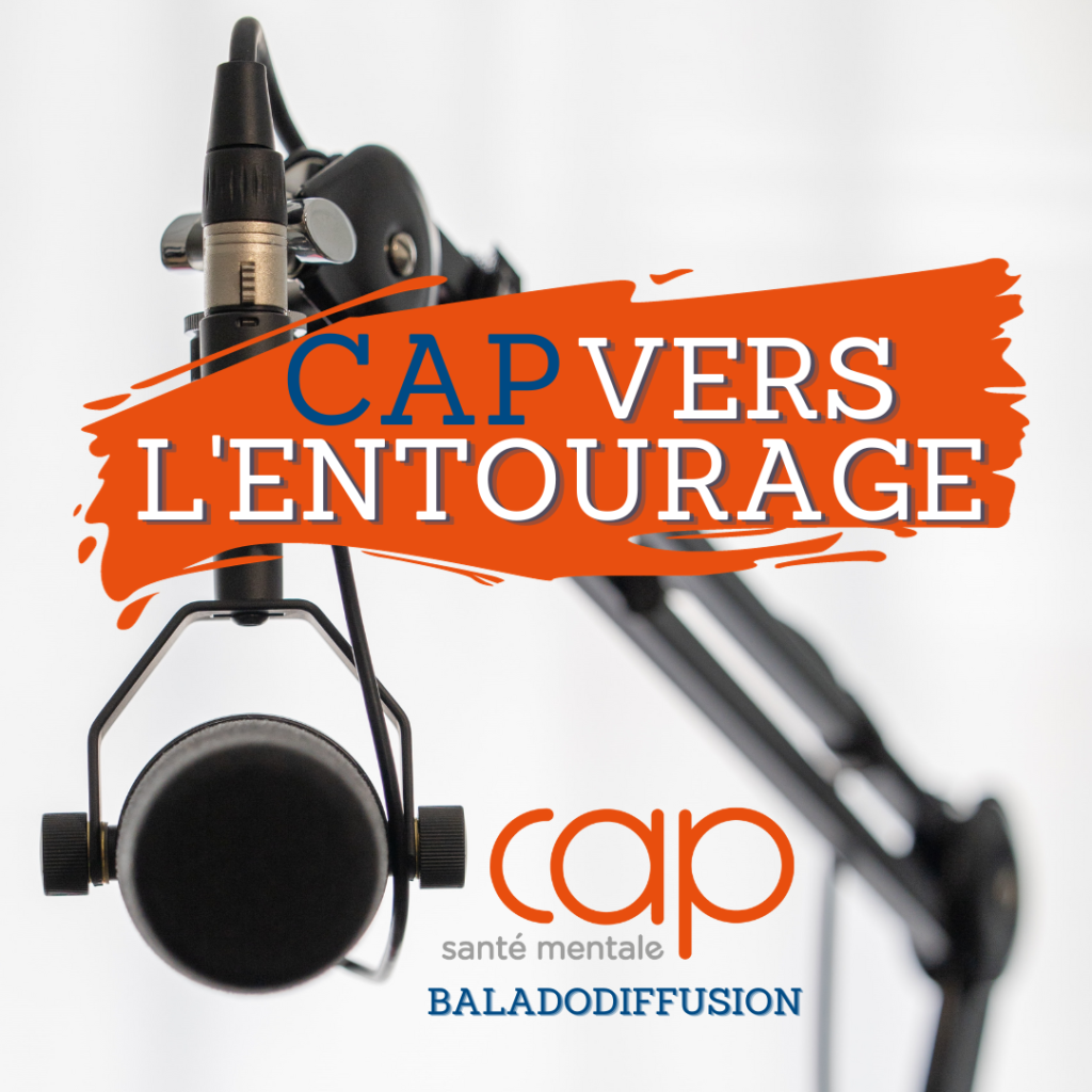 CAP vers des solutions : Un outil interactif pour guider les proches ...
